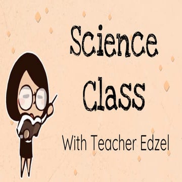 Grade 1 Lesson 2.4 Why Are Animals Important (1).pptx