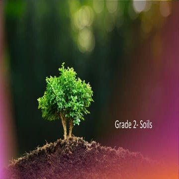 Grade 2 What We Need to Live .powerpoint | PPTX