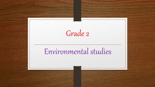Environment grade 3 | PPTX