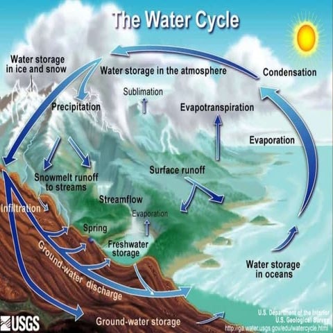 grade 3 water cycle | PPT