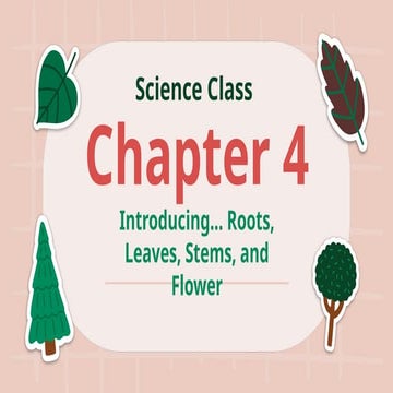 GRADE3-CHAPTER 4 (INTRODUCING, ROOTS, LEAVES, STEM AND FLOWER).pptx