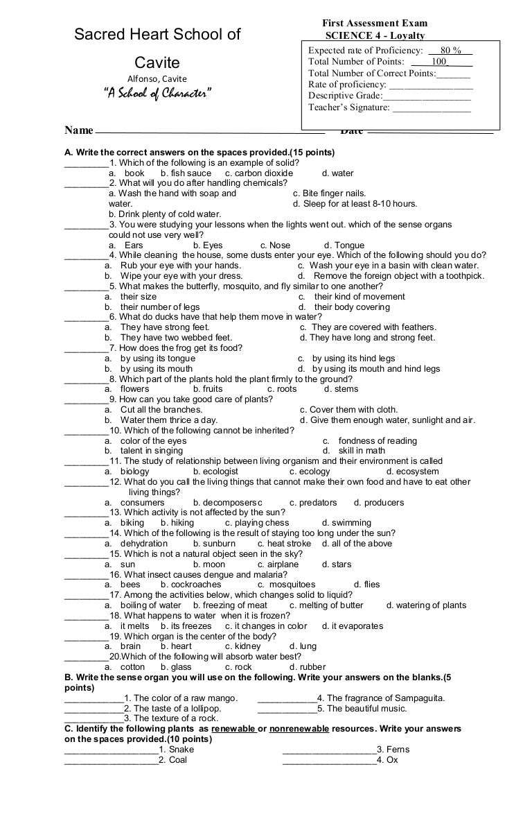 Grade 4 1st assessment