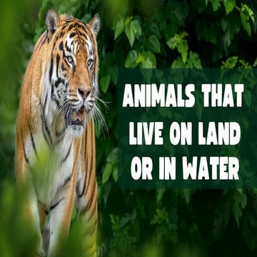 GRADE 4- ANIMALS THAT LIVE ON LAND OR IN WATER.pdf