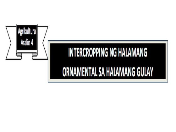 Lesson 2-SUCESSFUL ORCHARD GROWERS IN THE PHILIPPINES.pptx
