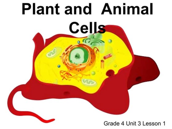 Cell specialization | PPT