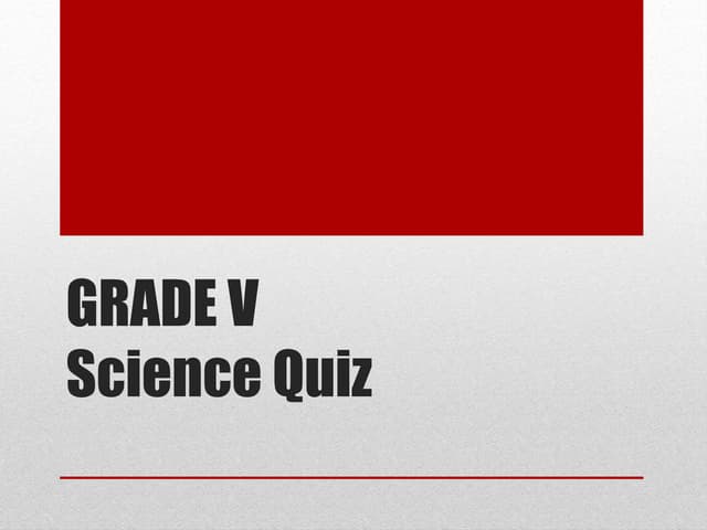 Curriculum Fest- Science Quiz Bee- Guidelines and Mechanics.pdf