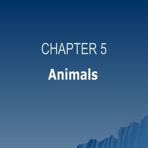 Classification of Animals.ppt
