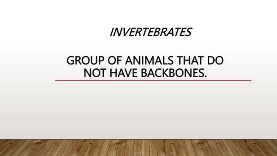 Grade 6 PPT_Science_Q2_W6_Invertebrates.pptx