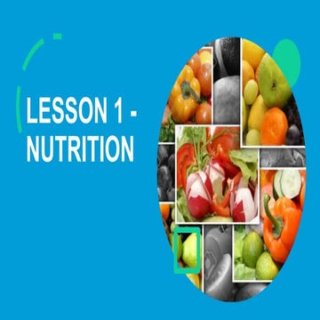 The Six Essential Nutrients: Lesson Plan And Worksheet | PDF
