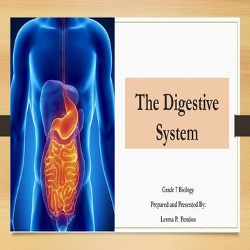 Grade 7 chapter1 lesson1 - the digestive system | PPTX