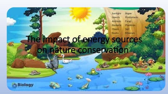 Grade 2 What We Need to Live .powerpoint | PPTX