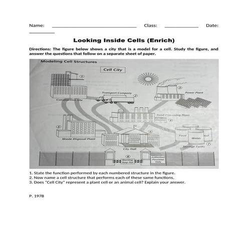 Grade 7 Looking Inside Cells (Enrich).docx