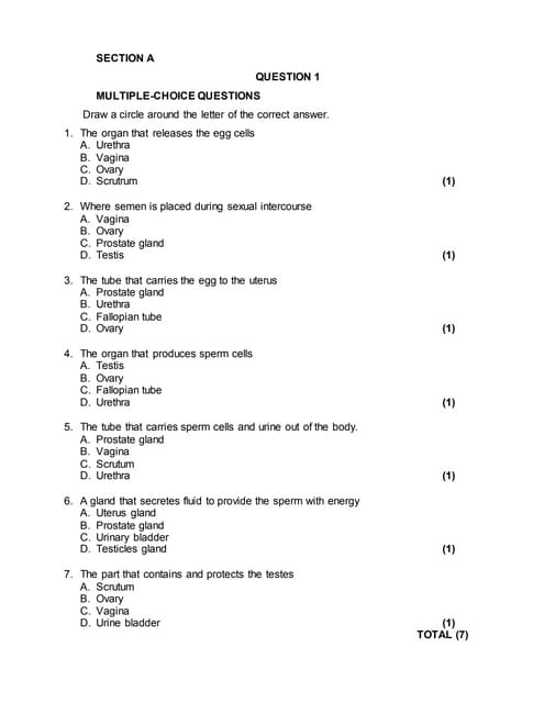 Grade 7 structures | PPT