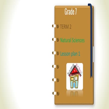 Grade 7 term 2 Natural Science Materials Lesson 1 Visual Style | PPTX