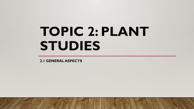 Plants Root and Shoot Systems-GRADE 4.pptx