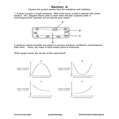 Grade 8 Biology Practice Test | DOCX