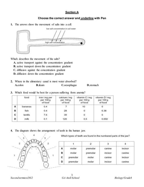 Grade 8 Biology Practice Test | DOCX | Biological Sciences | Science
