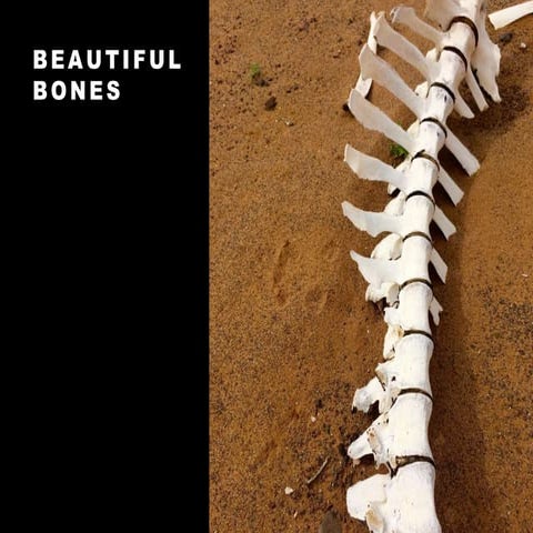 Grade 8 bones intro | PPTX