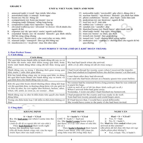 Grade 9 Unit 6 Listening Docx