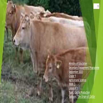Grade 9 Agriculture Science Week 3 Lesson 1.pptx