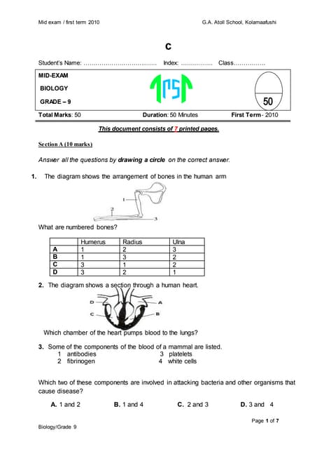 Grade 9 biology paper 1 term 1 2013 | DOCX