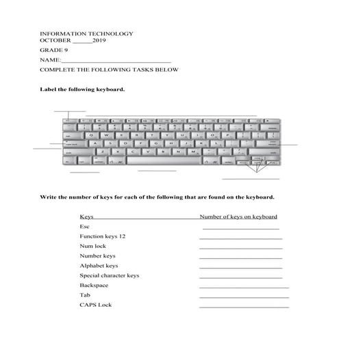 Information Technology Grade 9 class activity.docx