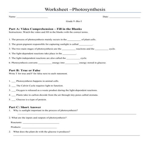 Photosynthesis Worksheet/ light dependent and independent reactions | DOCX