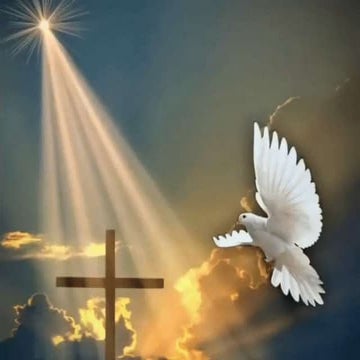 GRADE 9 PPT LESSON 1 CHS.pptx