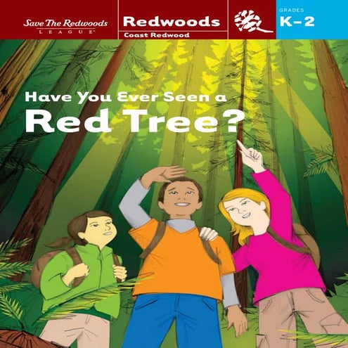 redwood trees three ancient wonders | PDF