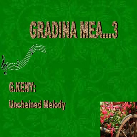 Gradina Mea 3 Adfin | PPS