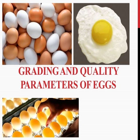 Grading and quality parameters of eggs | PPTX
