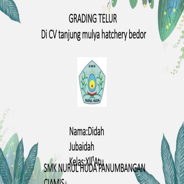 DIDAH JUBAIDAH Grading telur DI HATCHERY | PPT