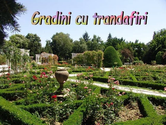 3 lucruri din viata ta | PPS