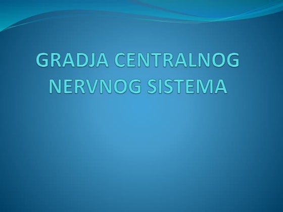 Periferni nervni sistem | PPT