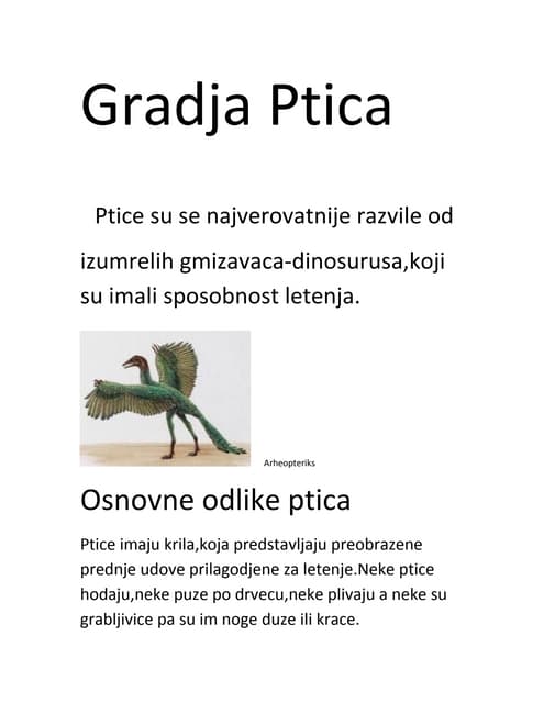 Ptice | PPT