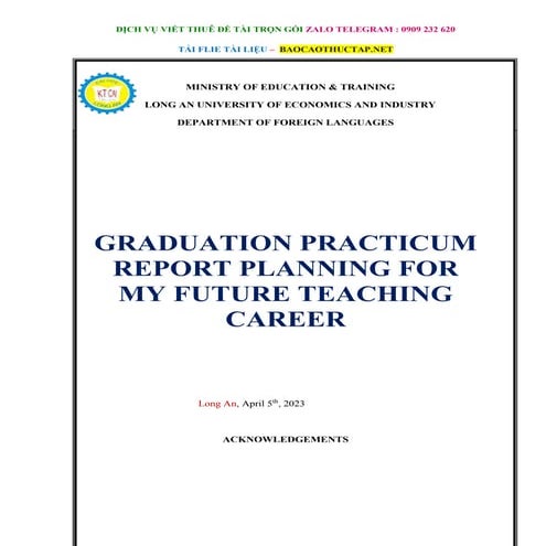 Graduation Practicum Report Planning For My Future Teaching Career. | DOCX