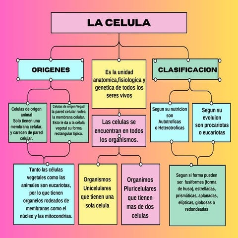 Grafica Mapa Conceptual Simple Multicolor.pdf