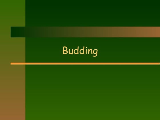 TYPES OF BUDDING | PPT