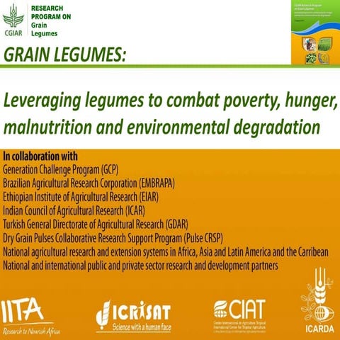 Grain Legumes - Presentation for Discussion with Donors and Partners ...