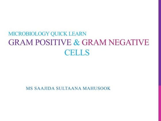 Gram positive and gram negative bacteria | PPTX