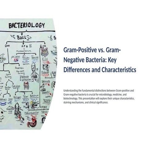 Gram positive & Gram negative cells | PPTX