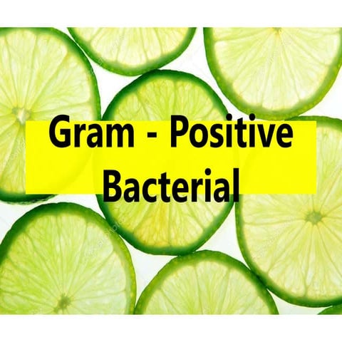 Gram positive bacterial | PPT