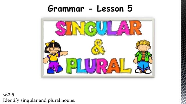 SINGULAR & PLURAL NOUNS _ Grade 2.pptx