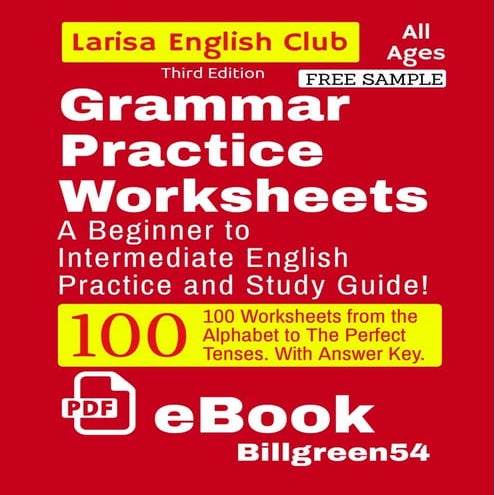 Grammar Practice Worksheets ESL English | PDF