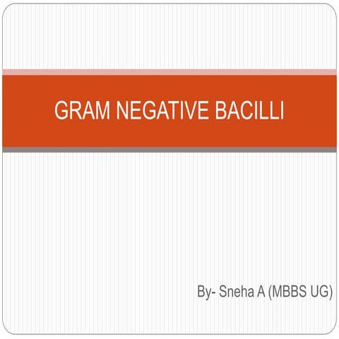 Gram negative bacilli | PPTX