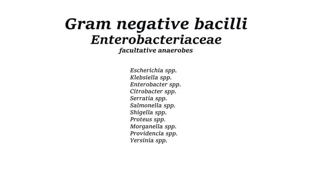 Gram negative rods | PPT