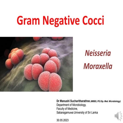 Gram negative cocci - Batch 03.ppt | Infectious Diseases | Diseases and ...
