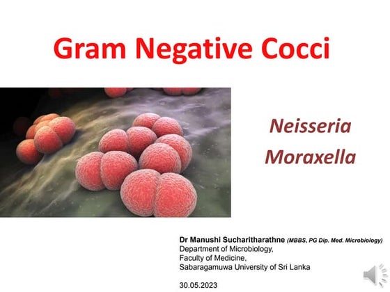 Streptococcus pneumoniae 2013.pptx