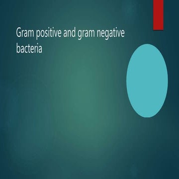 gram positive and gram negative bacteria- lec 2.pptx