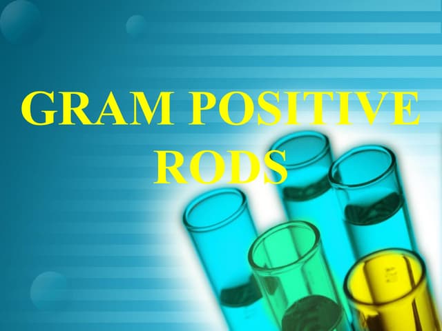 Gram negative rods | PPT